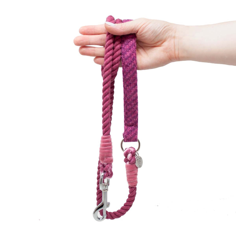 Rope Dog Leads | Luxury Dog Products | Stocky & Dee